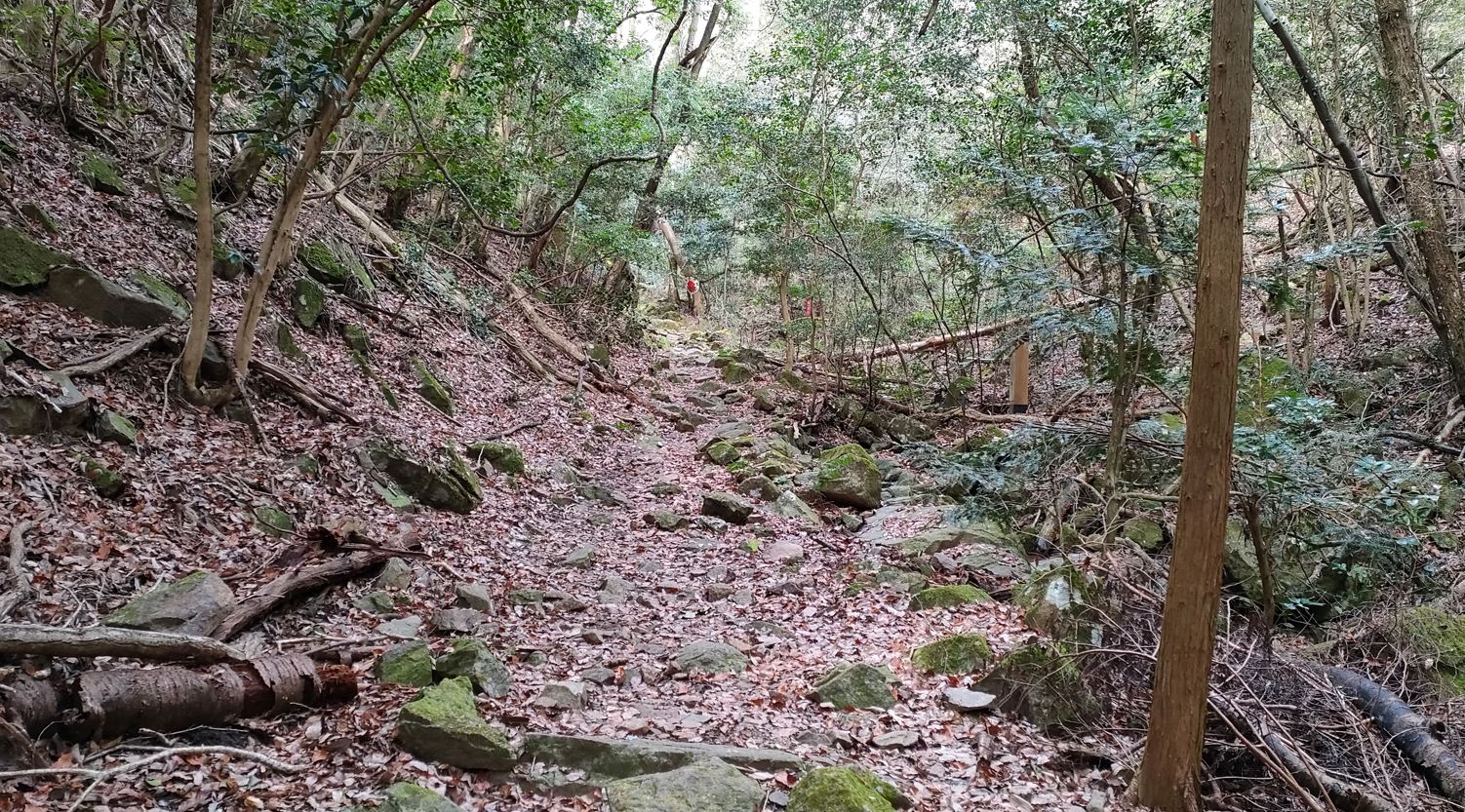 【ふるさと兵庫100山】藍本駅→虚空蔵山→草野駅 登山ルートガイド - YamaPub