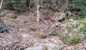 【ふるさと兵庫100山】藍本駅→虚空蔵山→草野駅 登山ルートガイド - YamaPub