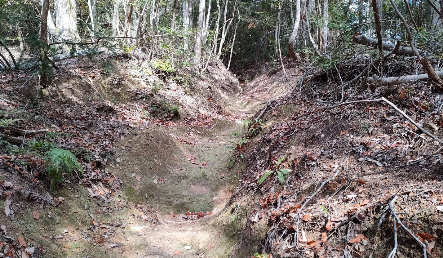 【ふるさと兵庫100山】藍本駅→虚空蔵山→草野駅 登山ルートガイド - YamaPub