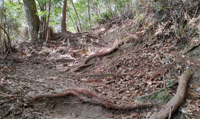 【ふるさと兵庫100山】藍本駅→虚空蔵山→草野駅 登山ルートガイド - YamaPub