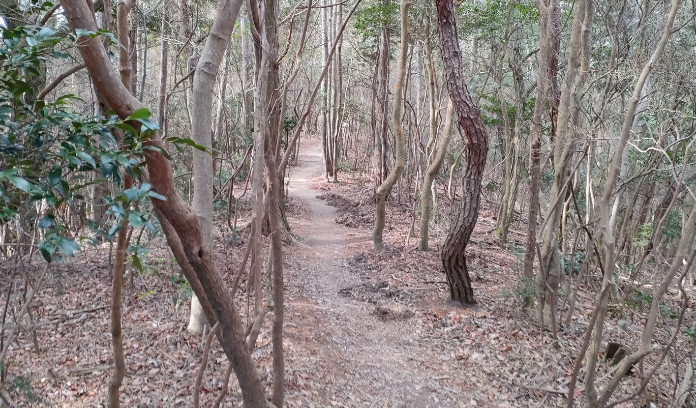 【ふるさと兵庫100山】藍本駅→虚空蔵山→草野駅 登山ルートガイド - YamaPub