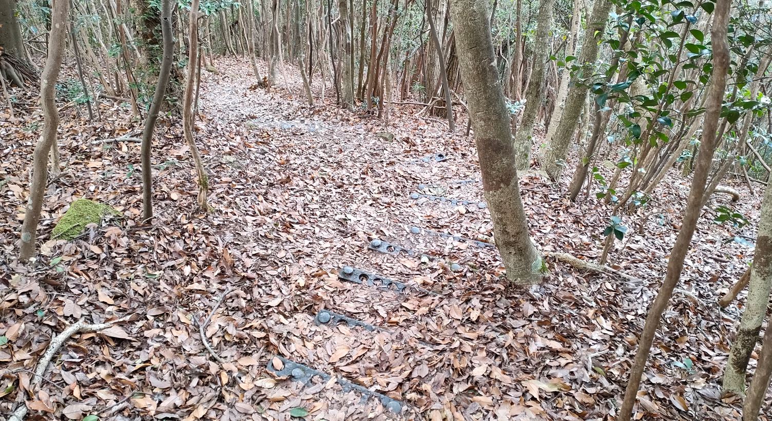 【ふるさと兵庫100山】藍本駅→虚空蔵山→草野駅 登山ルートガイド - YamaPub