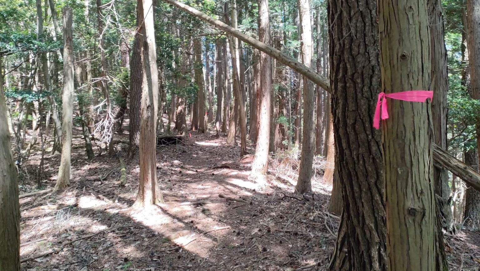 【大和富士】榛原駅→額井岳→榛原駅 登山ルートガイド【関西百名山】 - YamaPub