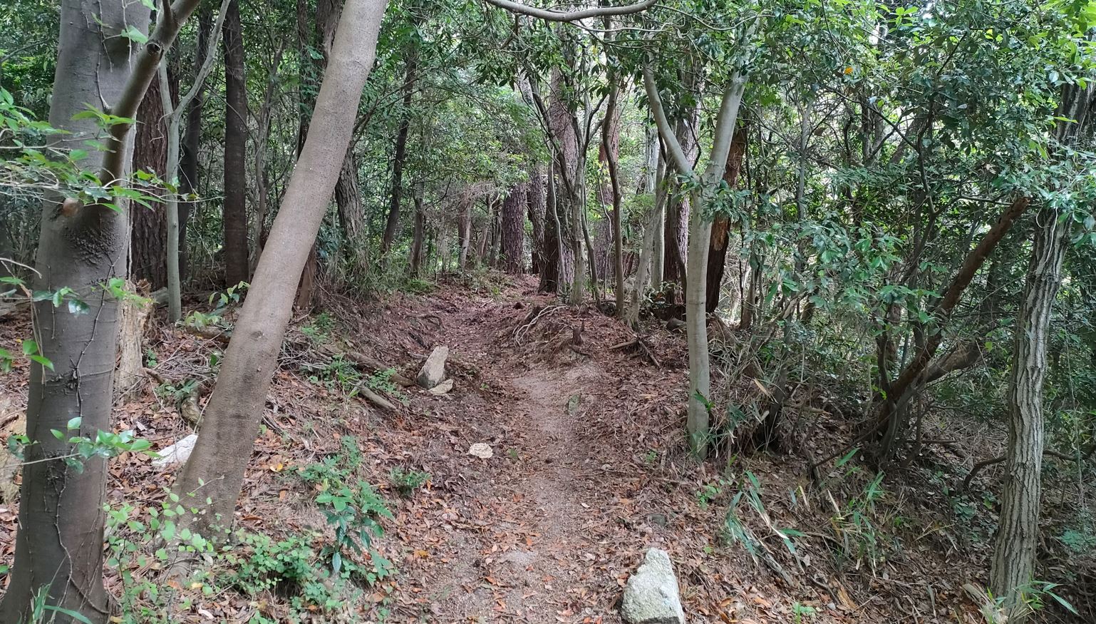 【六甲山系】御影駅→天狗岩→七曲滝→有馬温泉 登山ルートガイド - YamaPub