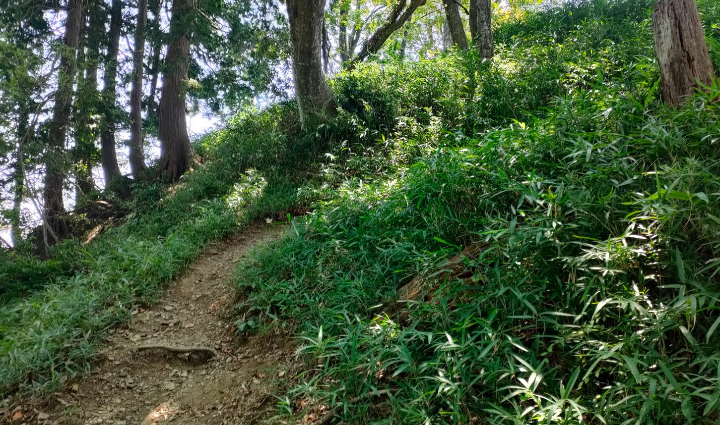 【琵琶湖/余呉湖の絶景】 余呉駅→賤ヶ岳→余呉駅 登山ルートガイド【関西百名山】 - YamaPub