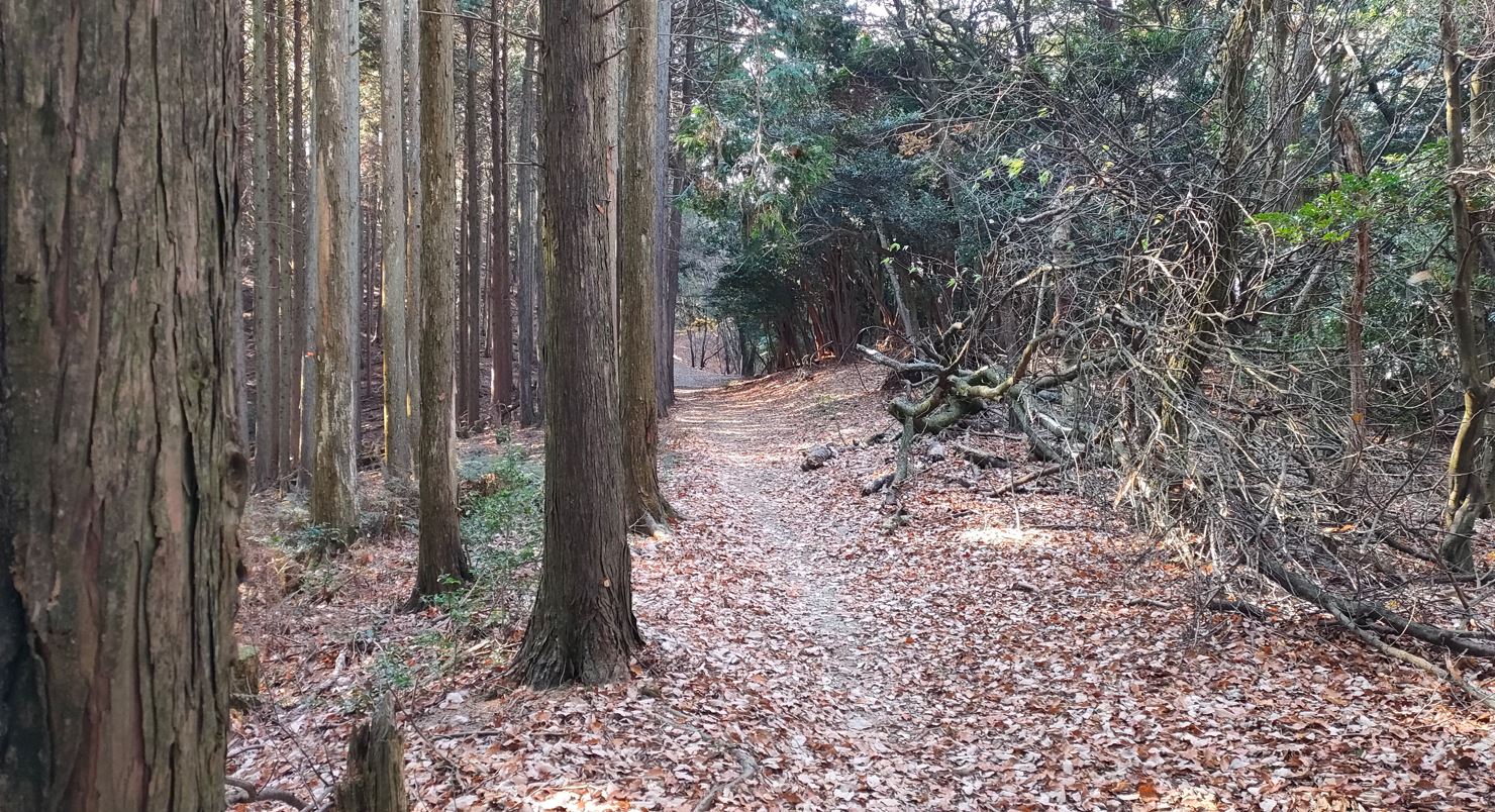 【音羽山(滋賀県/京都府)】大谷駅→音羽山→大津駅 登山ルートガイド - YamaPub
