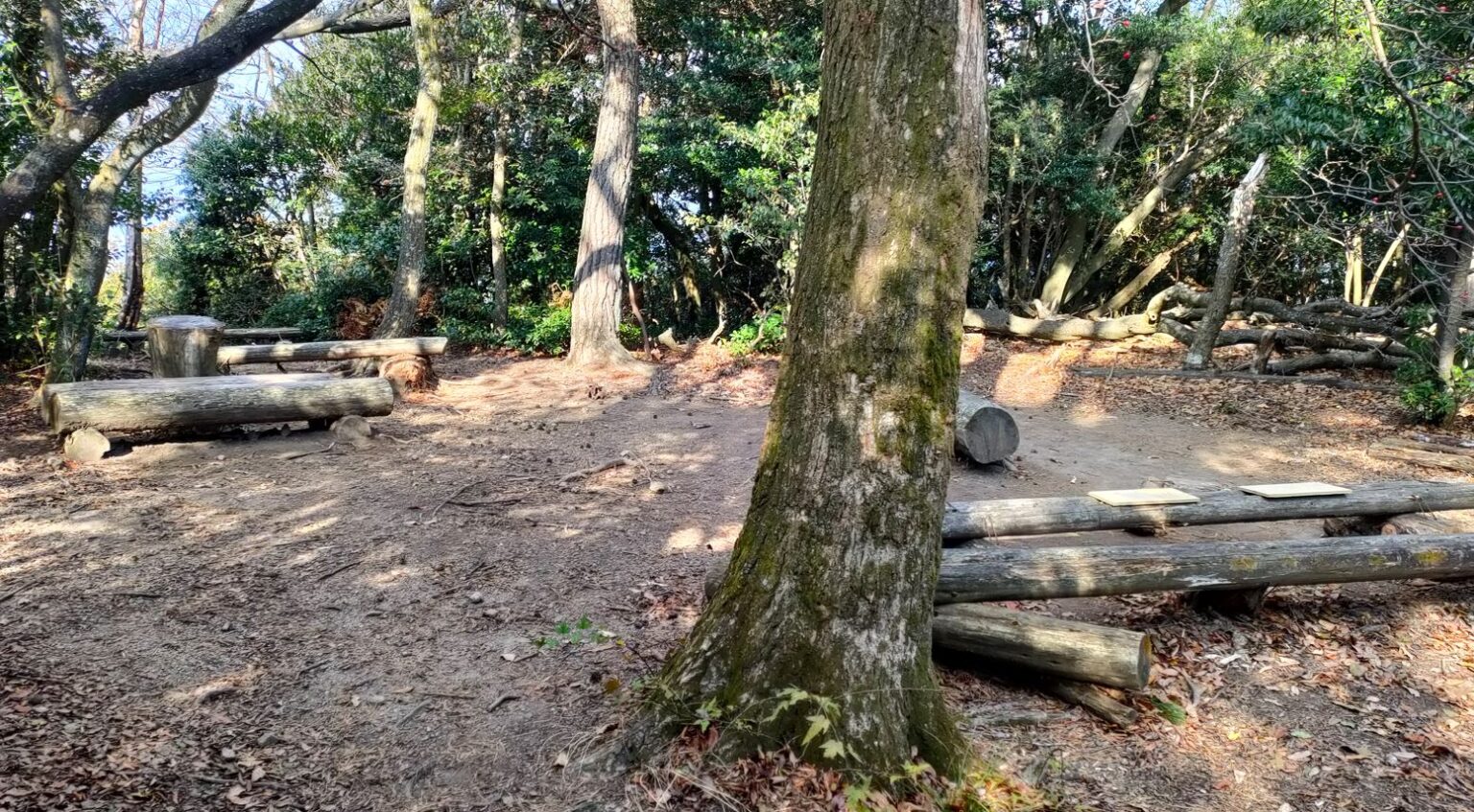 【音羽山(滋賀県/京都府)】大谷駅→音羽山→大津駅 登山ルートガイド - YamaPub