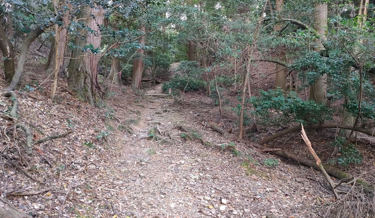 【音羽山(滋賀県/京都府)】大谷駅→音羽山→大津駅 登山ルートガイド - YamaPub